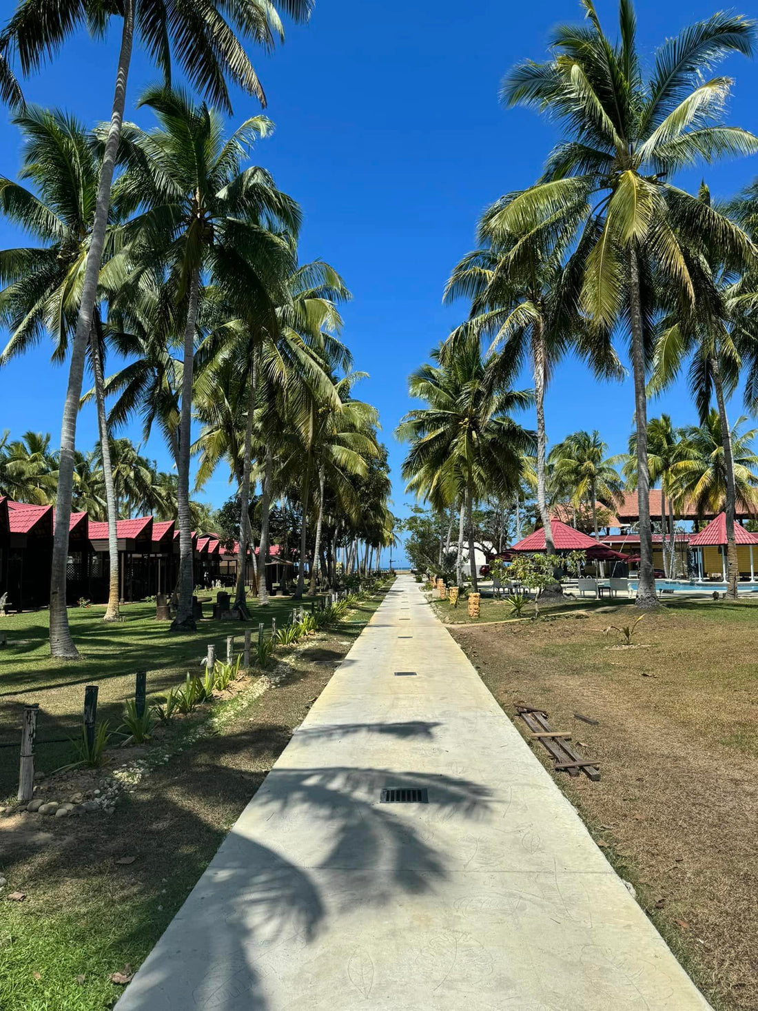 Borneo Beach & Mangrove Resort – Borneo Beach & Mangrove Resort